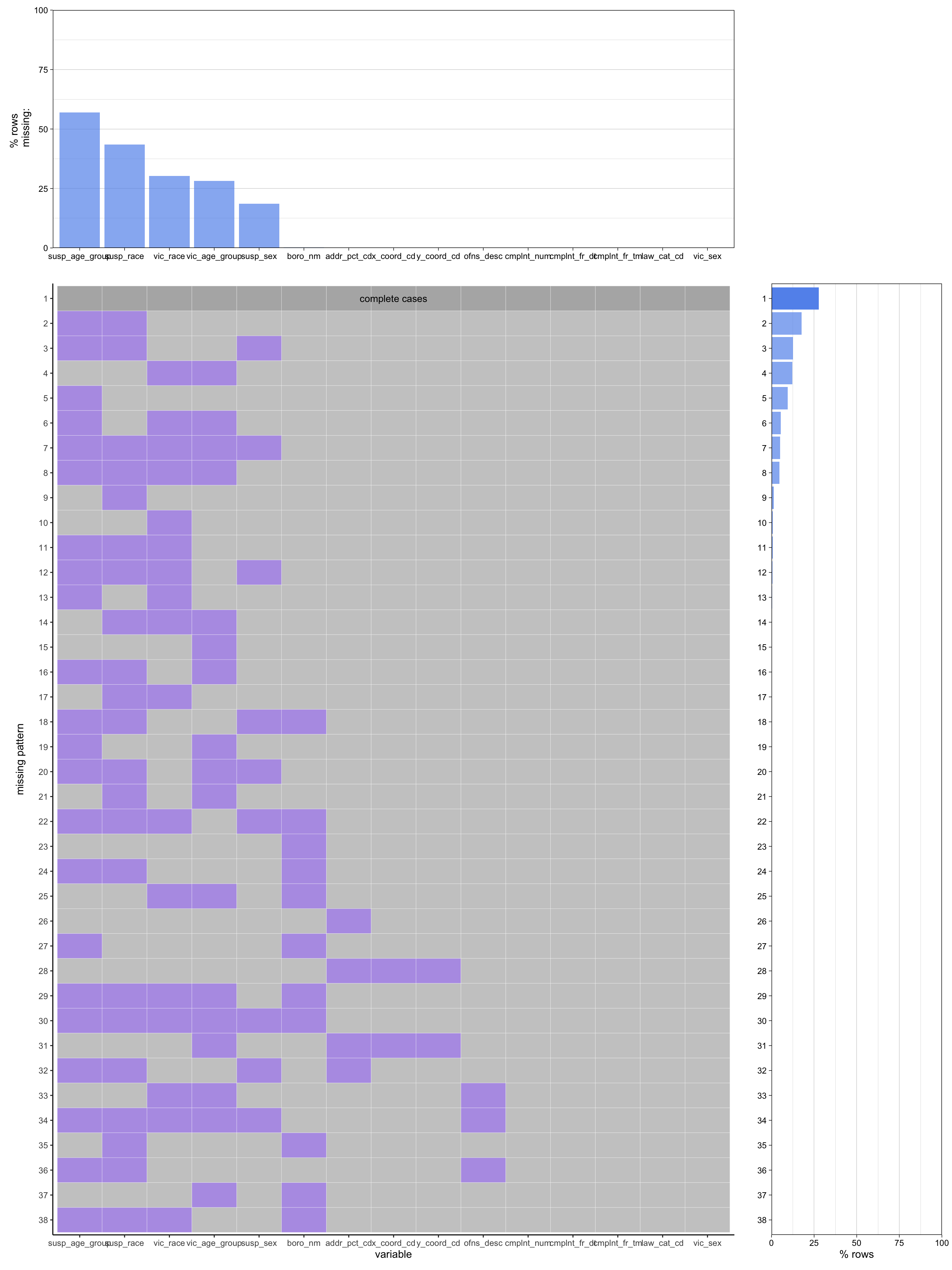 Chapter 3 Data | NYC crimes